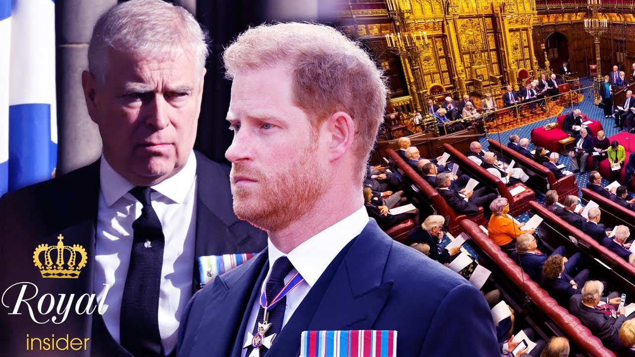 Parliament suddenly discusses Princes Harry & Andrew's roles - Royal ...