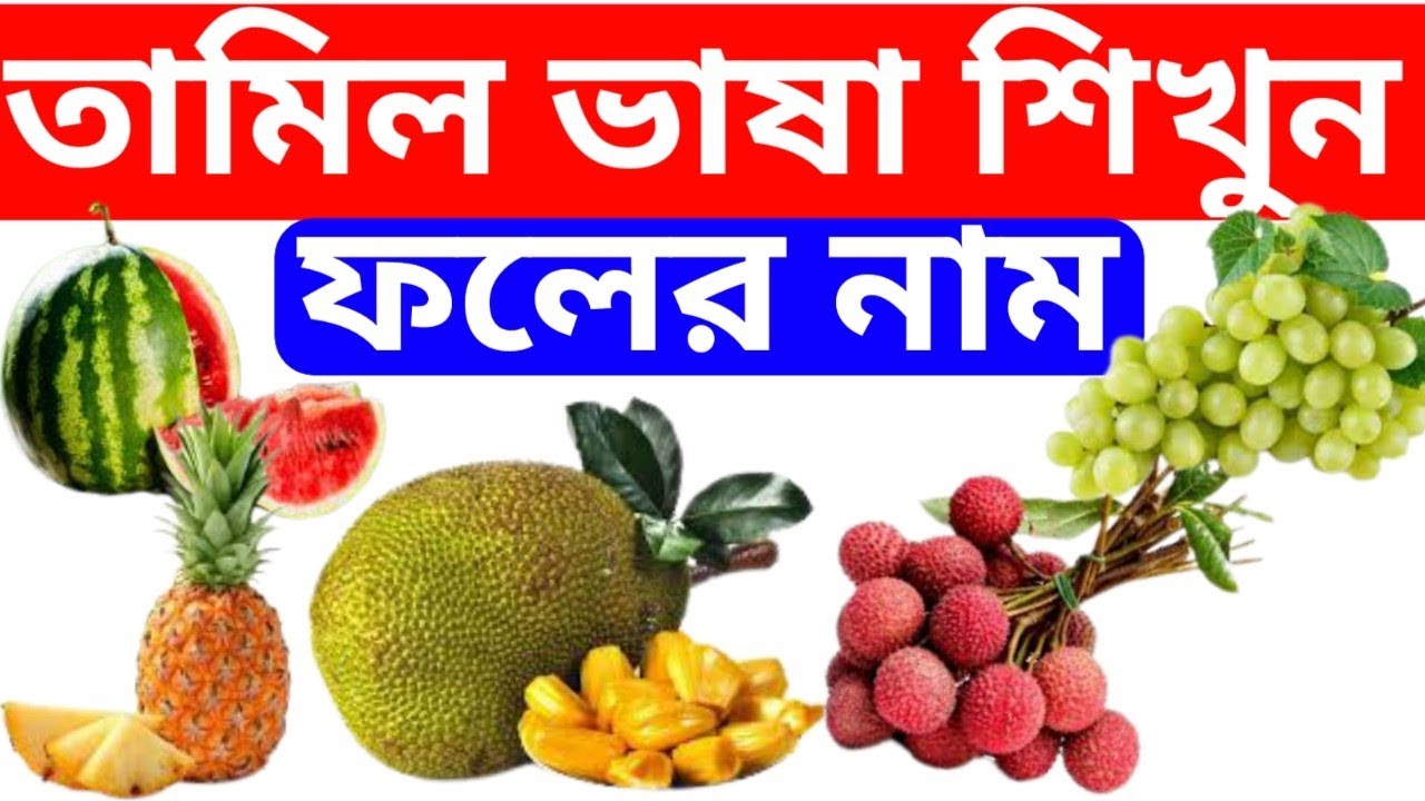 Learn Tamil, Name of fruit from Tamil তামিল থেকে ফলের নাম। - YouTube