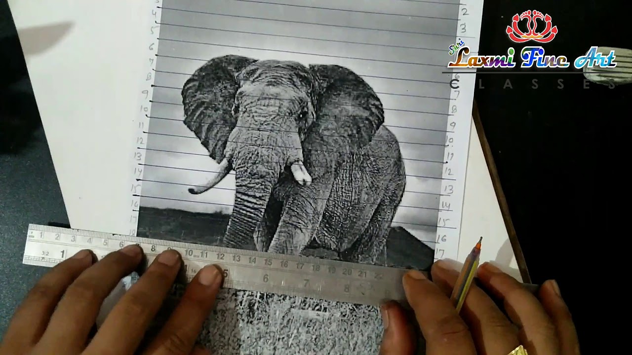 Elephant drawing with graph - YouTube