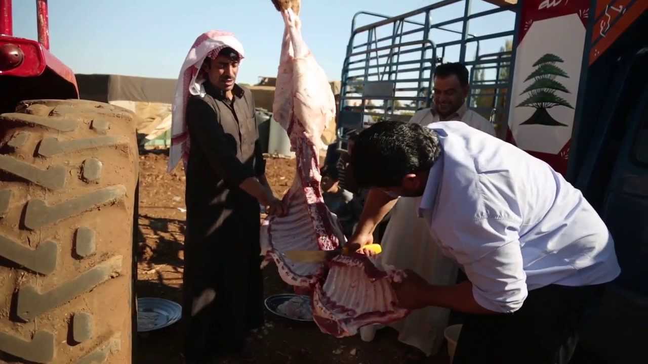 Syrian Refugees: Eid al Adha Celebrations In Lebanon - YouTube