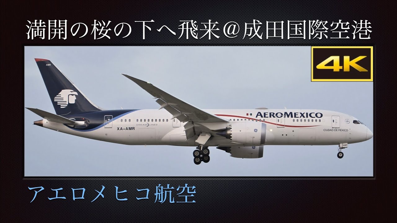 4K アエロメヒコ航空(Aeromexico) メキシコシティ→成田線(AM58便) 09時間13分の遅延で満開の桜の下へ飛来する ...
