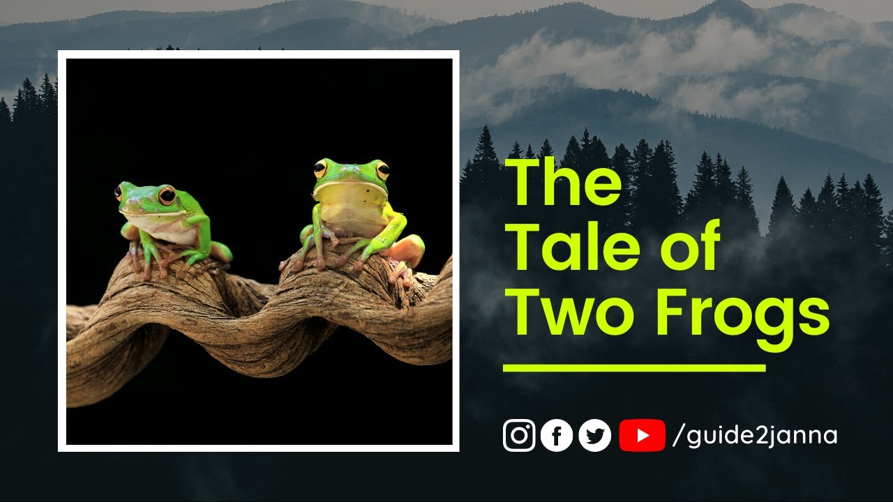 The Tale of Two Frogs | Inspiring Islamic Stories - YouTube