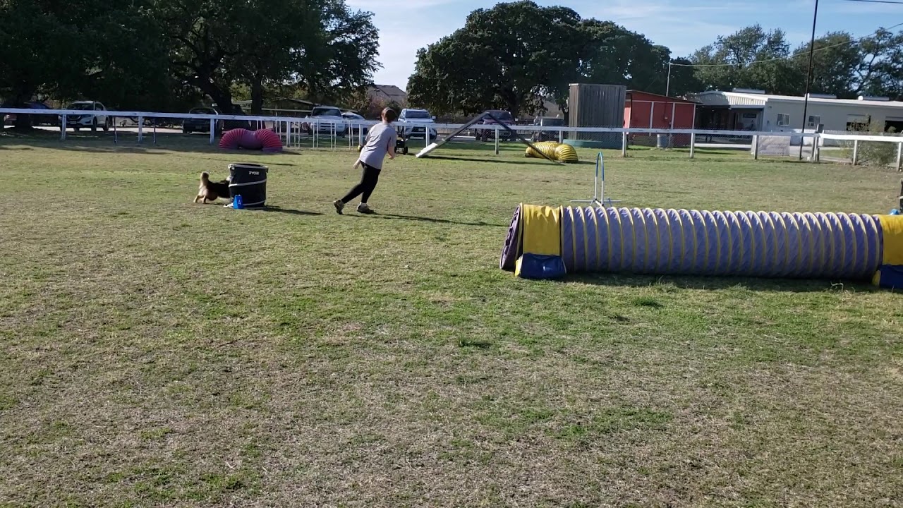 Novice Barrelers NADAC course with Poppe. - YouTube