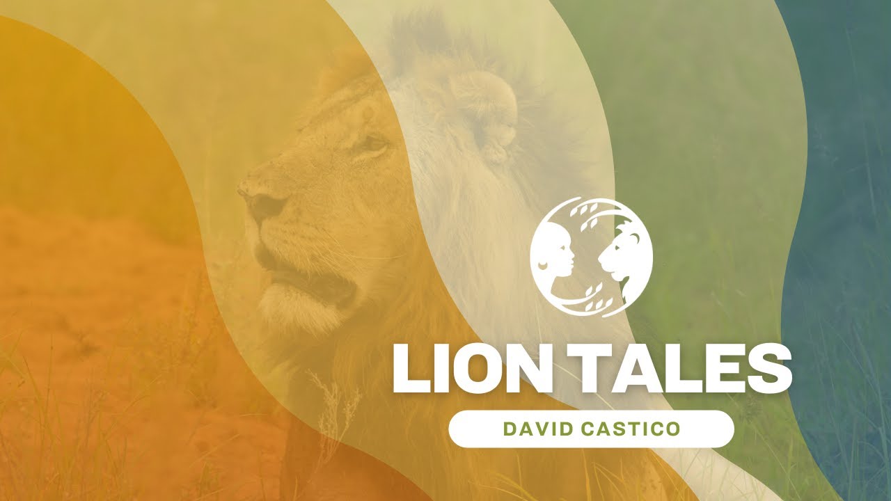 Lion Tales: David Castico - YouTube