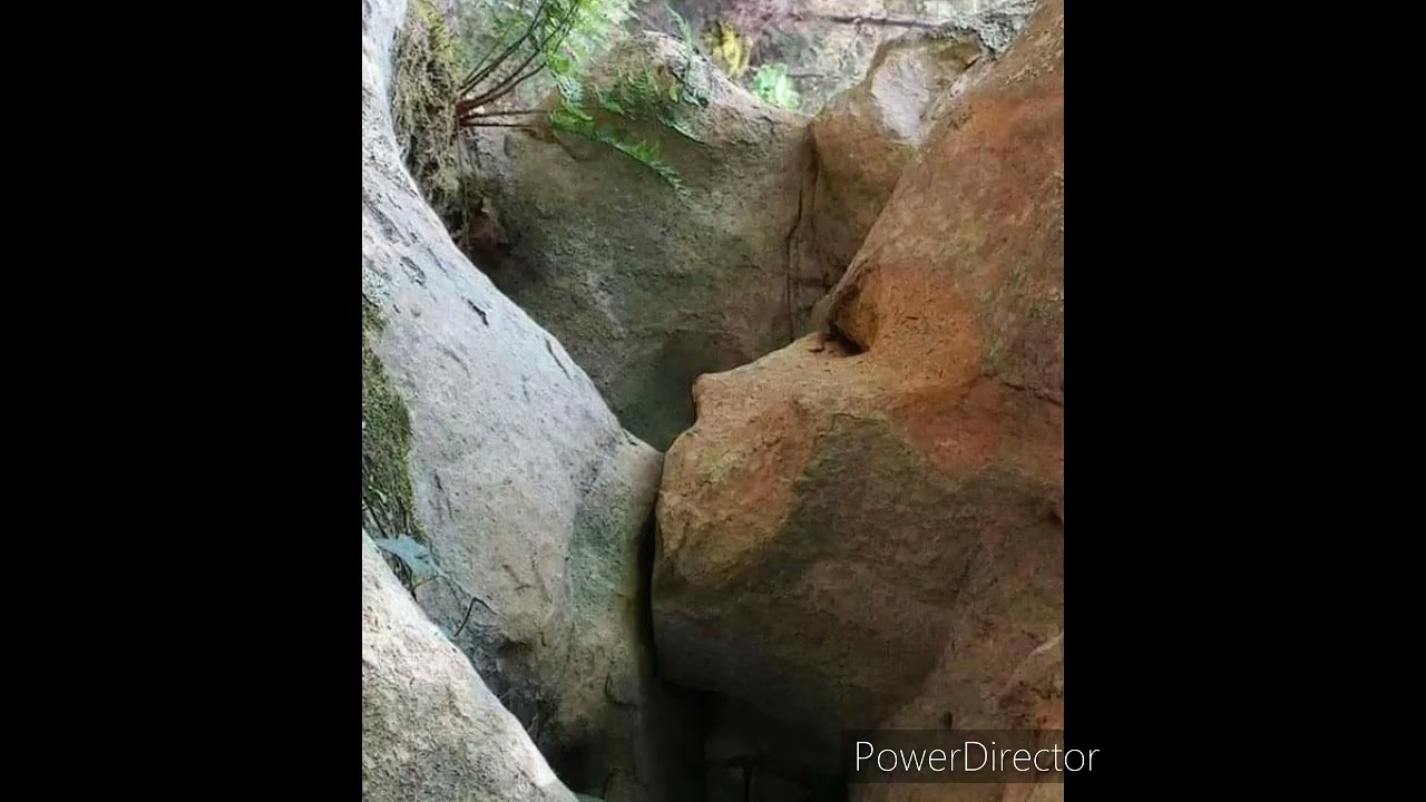Mud Fossils!! Giant's Before And After!! - YouTube