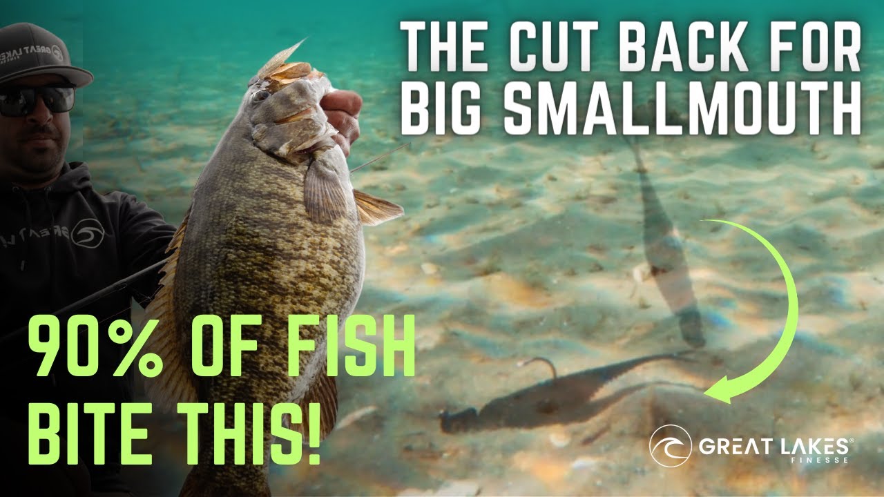 The "CUT BACK" gets 90% of fish to bite! - YouTube