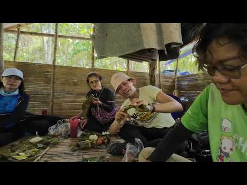Forest bathing Pha Ngew