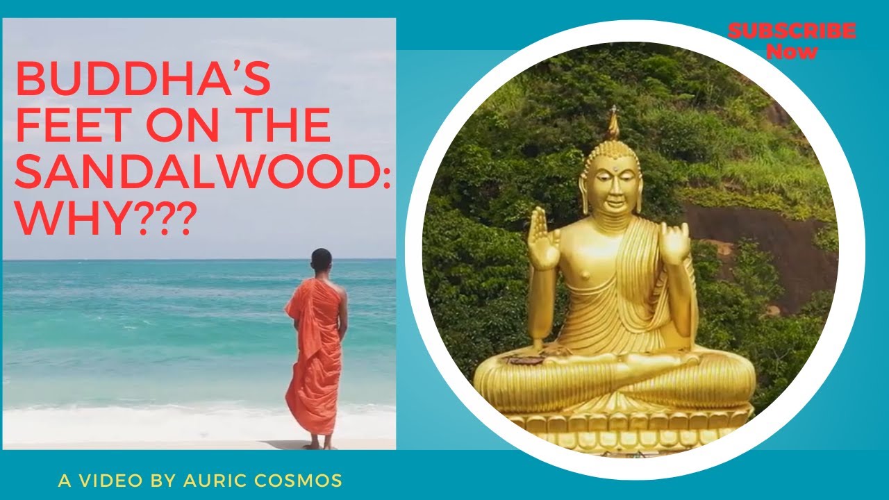 What is Buddha Power? - YouTube