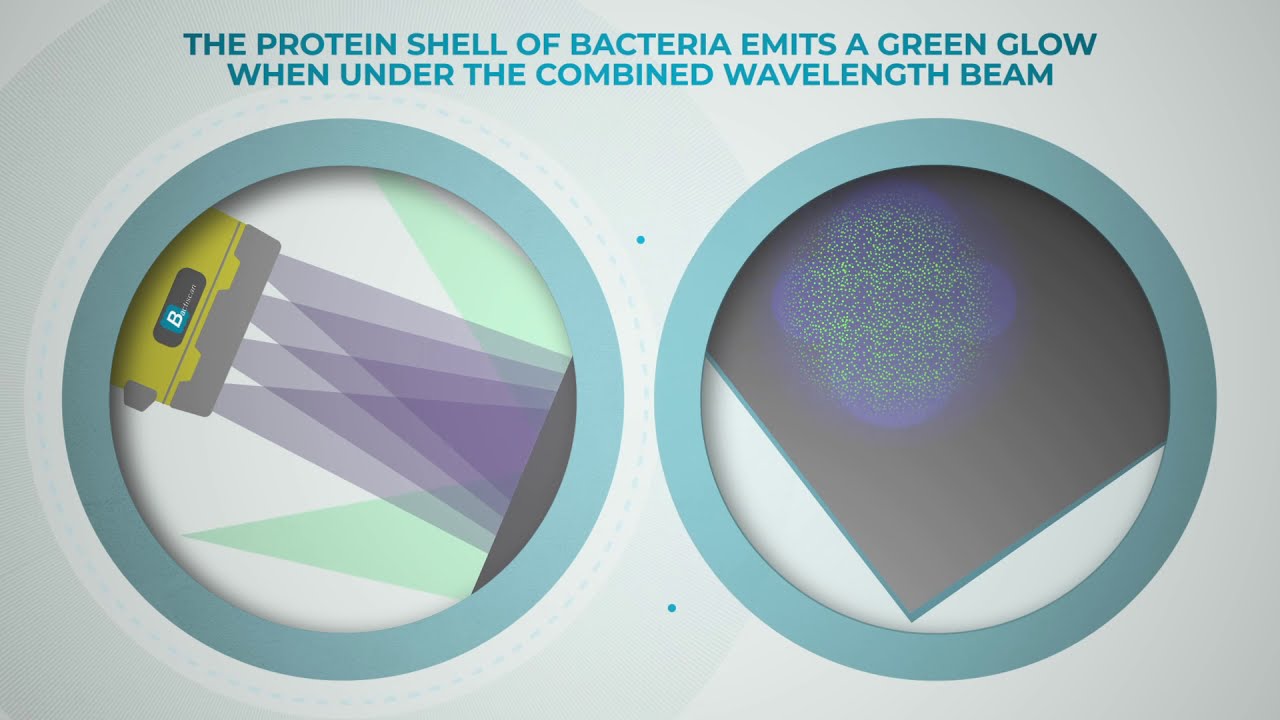 How Bactiscan Works To Effectively Detect Bacteria & Biofilms Fast & At ...