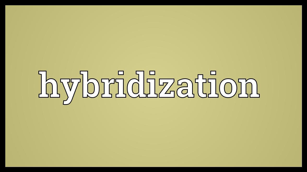 Hybridization Meaning - YouTube