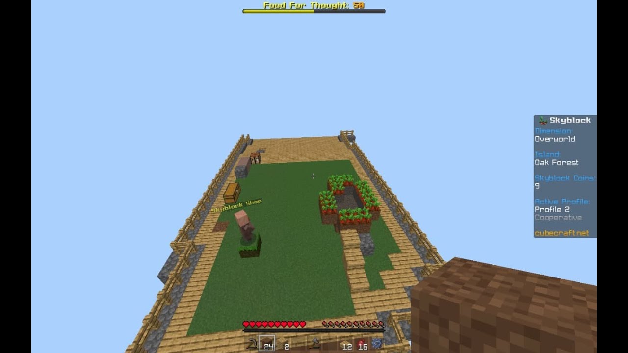 Minecraft CubeCraft SkyBlock Part II (No Edit) - YouTube