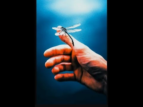 La Libellula Videoclip By PigiFilm Pier Luigi Morsiani UHD - YouTube
