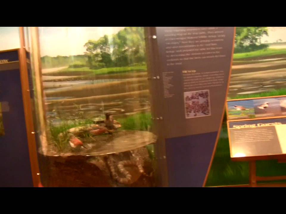 Herbert H Bateman Educational and Administrative Center - YouTube