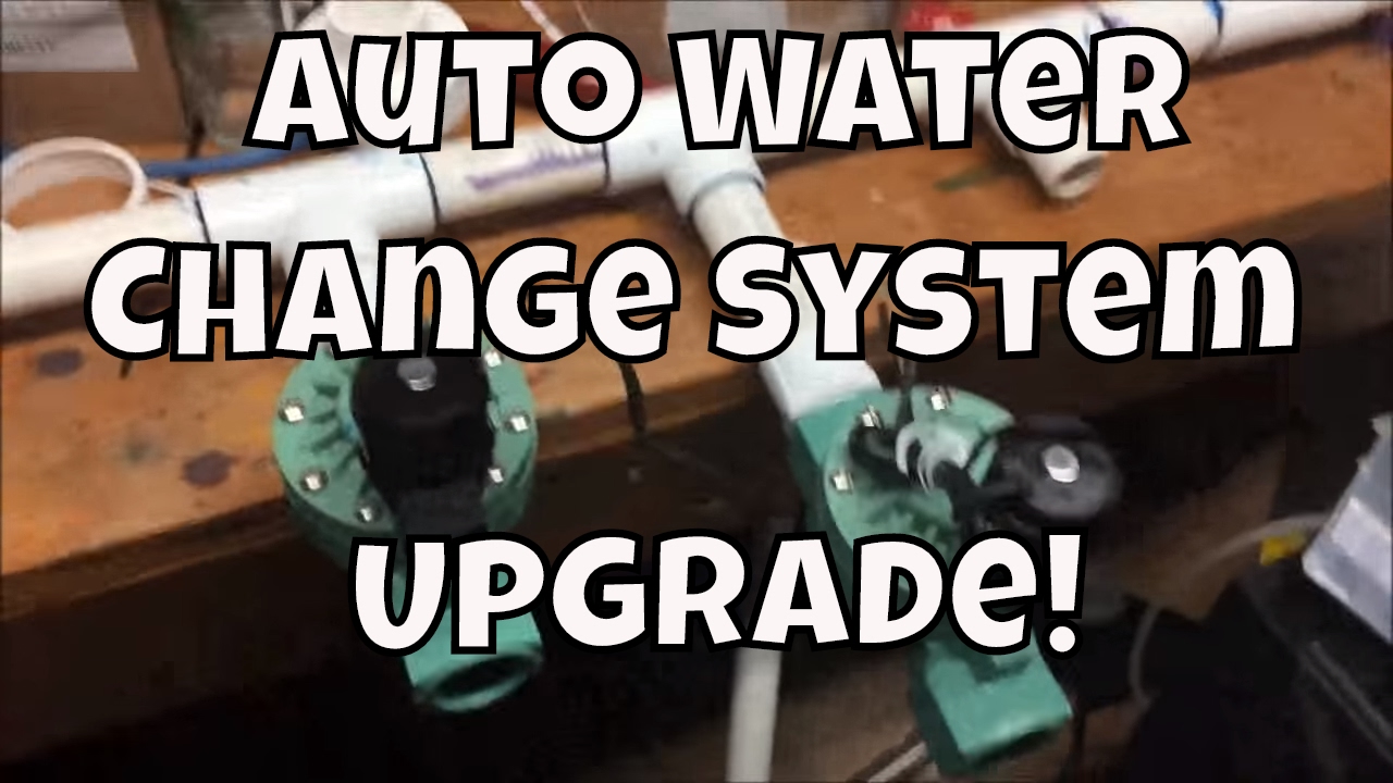 Auto Water Change System in the fish room is ALIVE! Using Irrigation ...