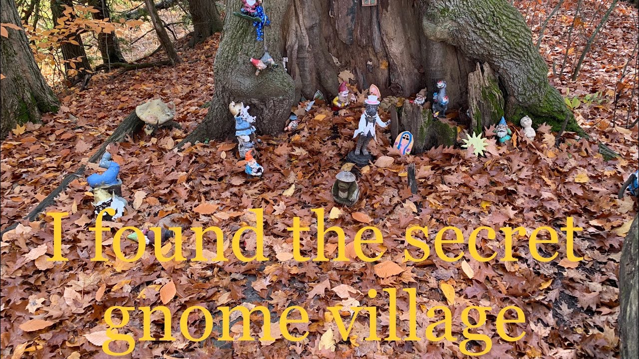 I found a secret gnome village deep in an enchanted forest. - YouTube