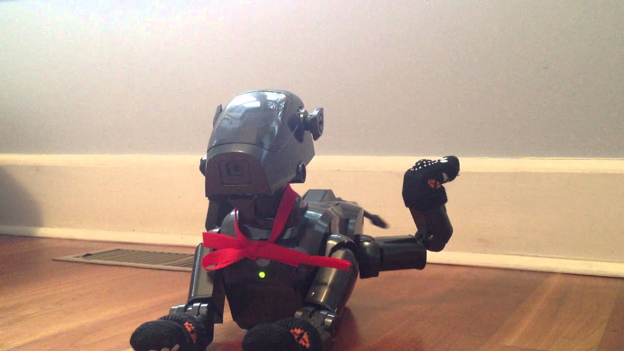 Aibo ERS-111 Baby Stage - YouTube
