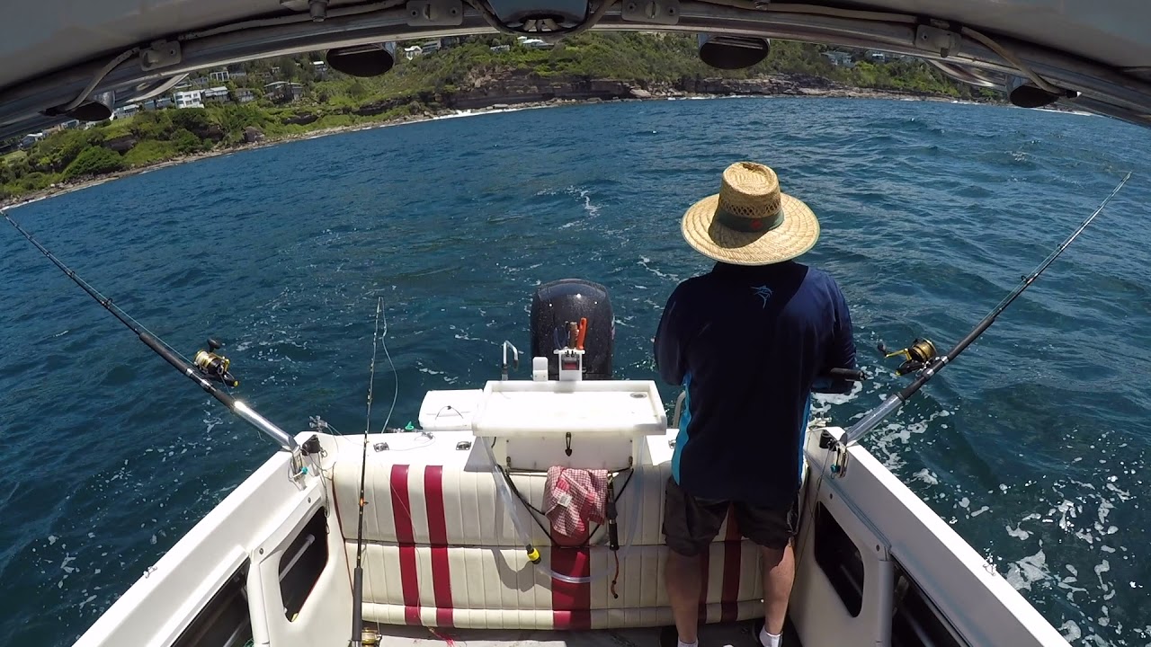 Z & W Trolling Sth Whale Beach 17.11.2021 - YouTube