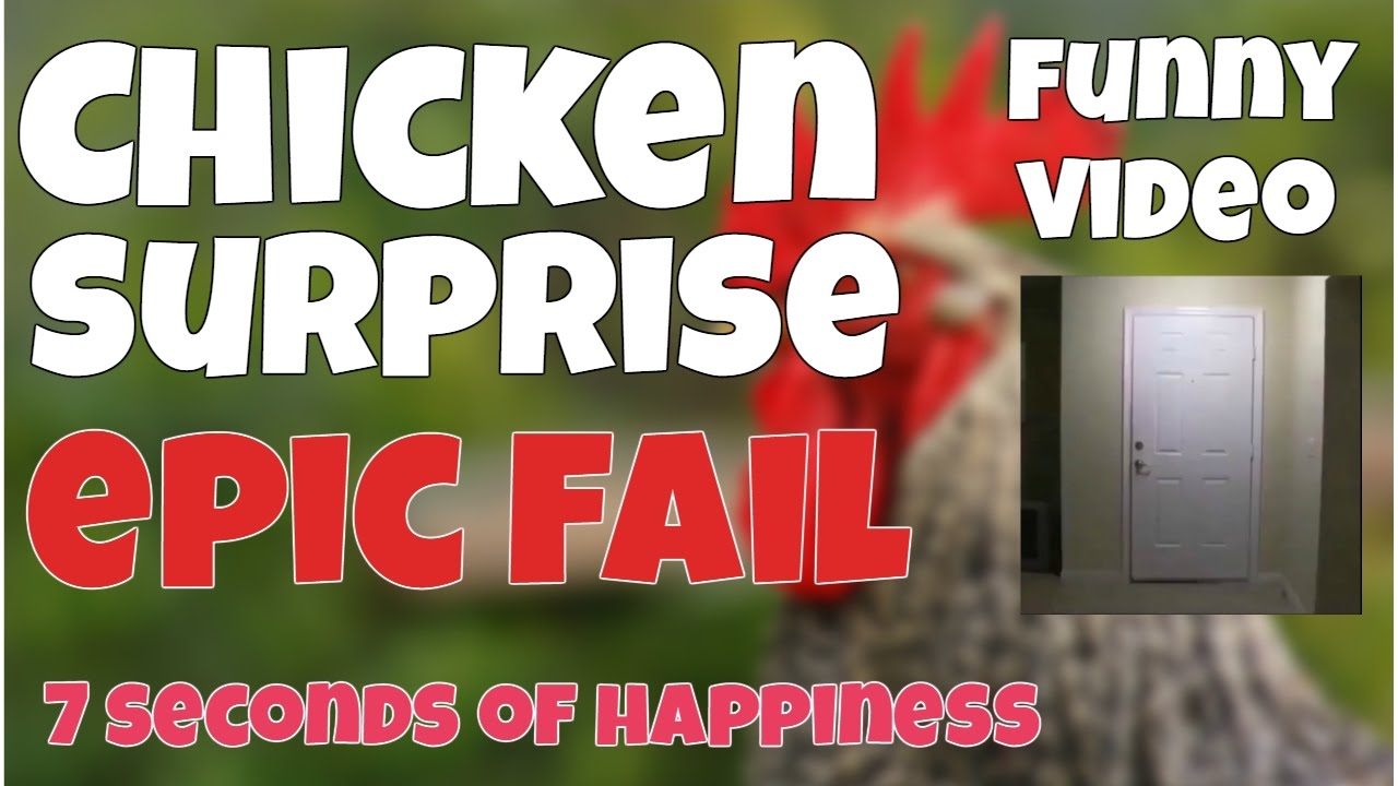 Chicken surprise epic fail 🔸7 second of happiness FUNNY Video 😂 #365 ...