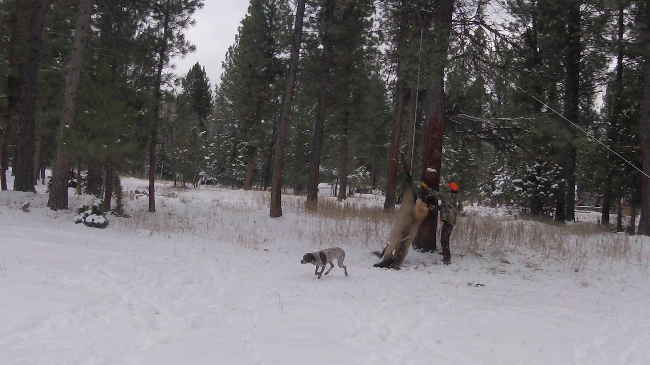 Redneck Elk lift - YouTube