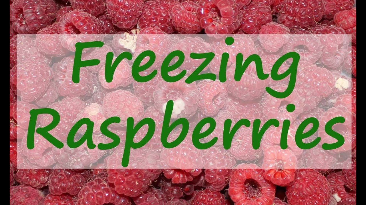 Freezing Raspberries - YouTube