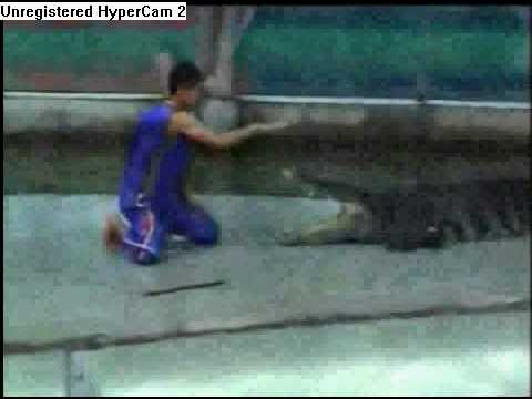 Mans Arm Gets Bitten Off By An Alligator. - YouTube