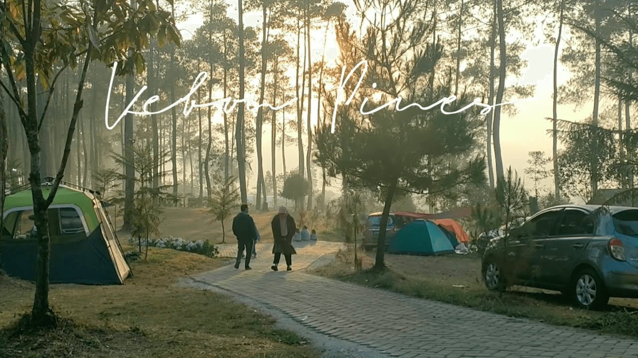 KEBON PINES Camping Ground | Kebon Pines Cikole | Camping di Lembang ...