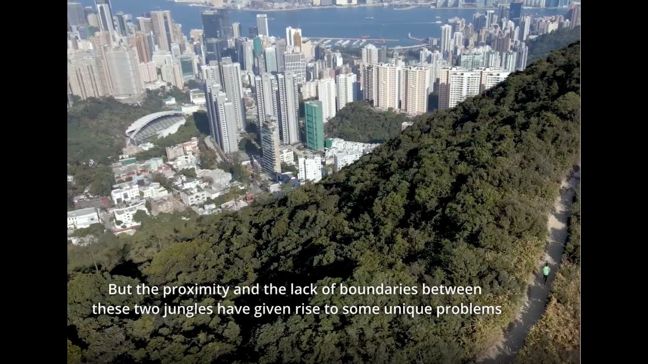 GREY SCAR Trailer 2 - YouTube