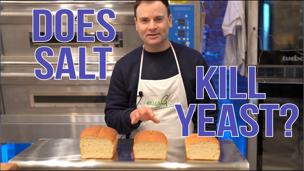 Fact or Fiction? Salt kills yeast. - YouTube