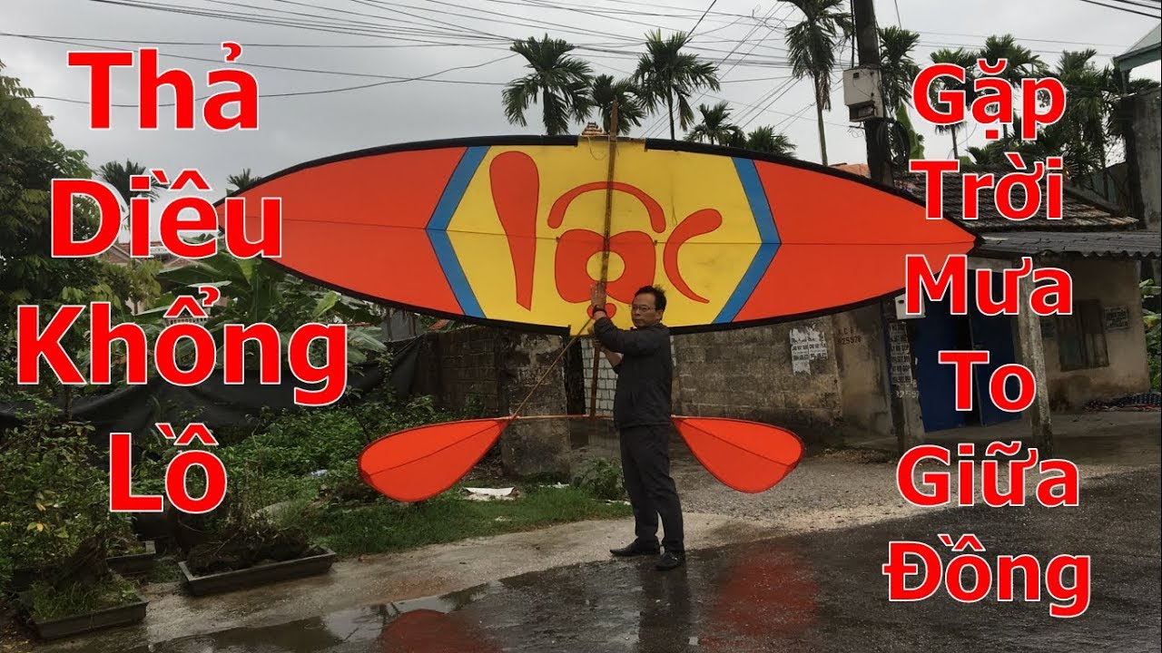 Bay Diều Khủng 5m Gặp Trời Mưa To Giữa Đồng Và Cái Kết Đắng Lòng - Hòa ...