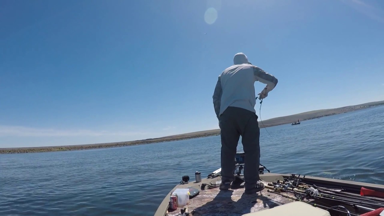 Potholes Reservoir Smallmouth Bass Fishing - YouTube