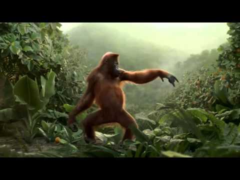 Madagaskar; -)