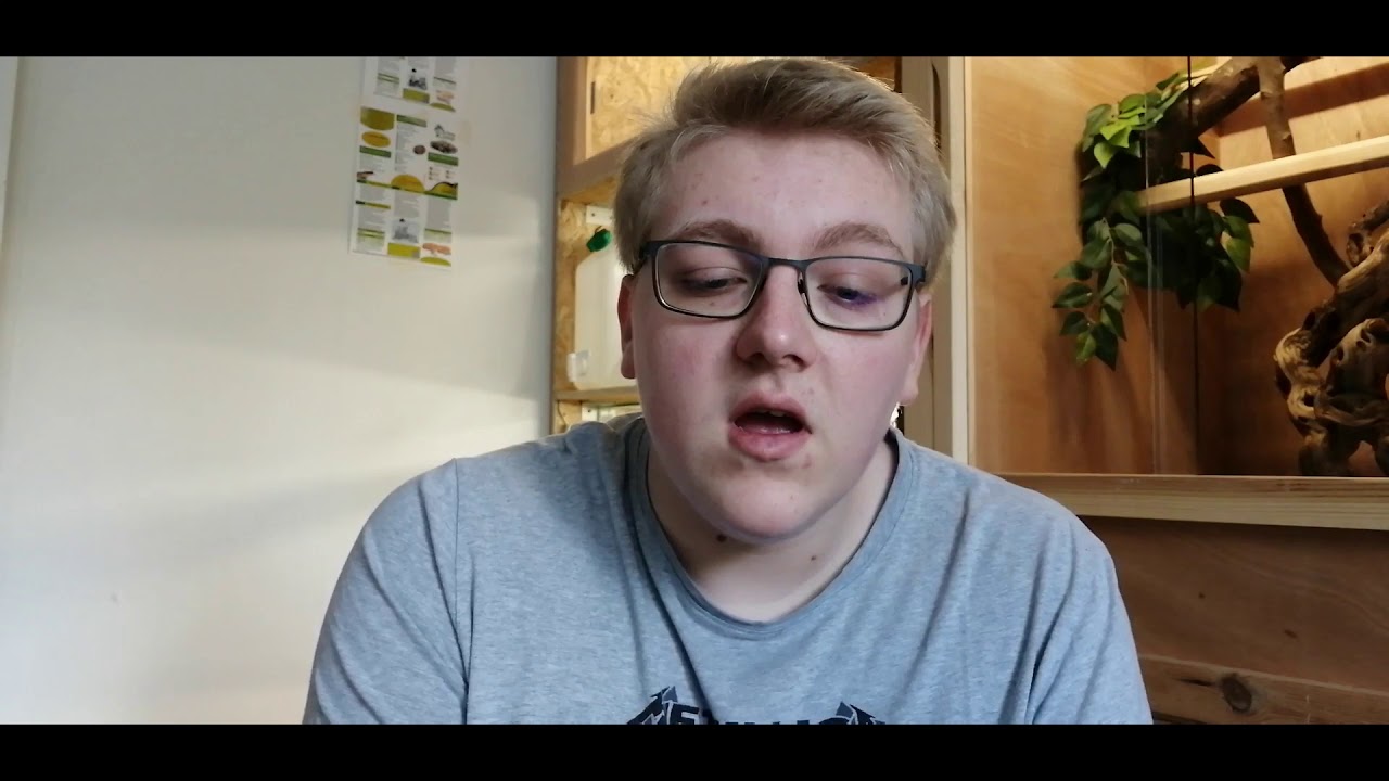 fiche d'élevage python regius et présentation de mes spécimens ! - YouTube