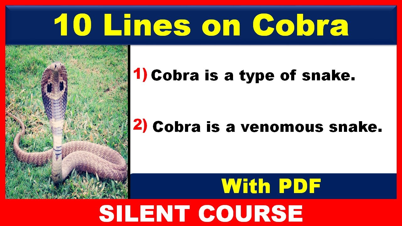10 Lines on Cobra In English | 10 lines on King Cobra 10 Lines ...
