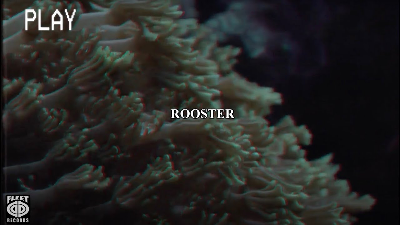 TWIN WOLVES - Rooster - YouTube