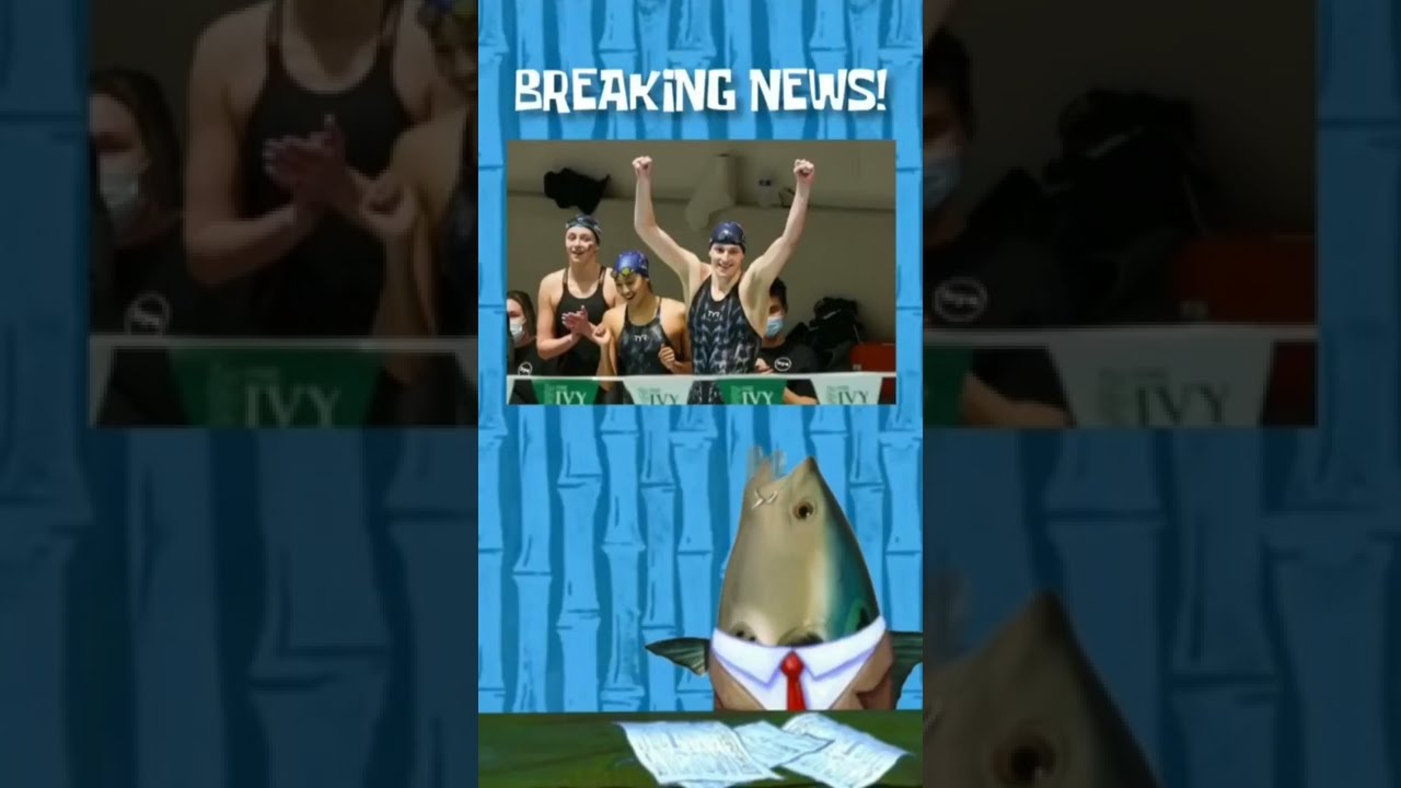 first transgender swimming champion. SpongeBob's breaking news fish ...