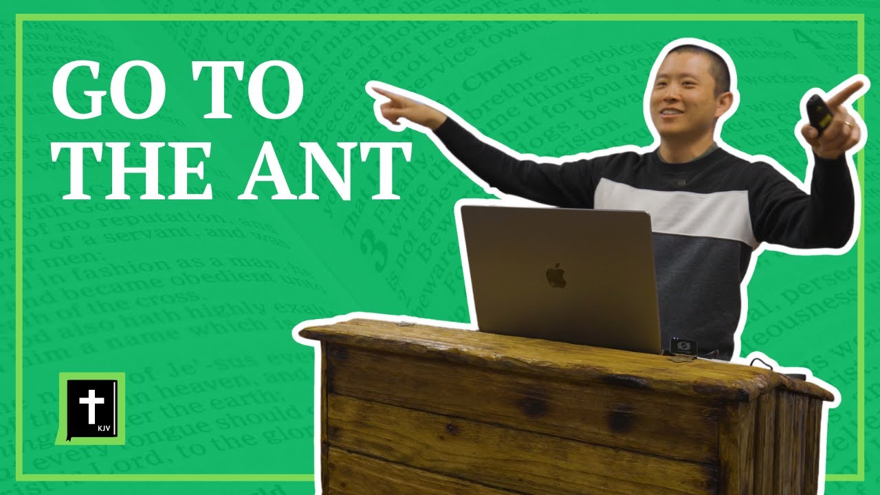 SUN: Go To The Ant - YouTube
