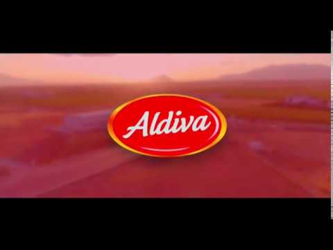 Aldiva Factory - YouTube