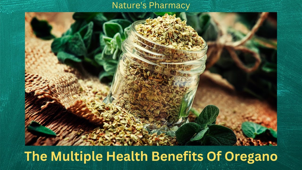 The Multiple Health Benefits Of Oregano - YouTube