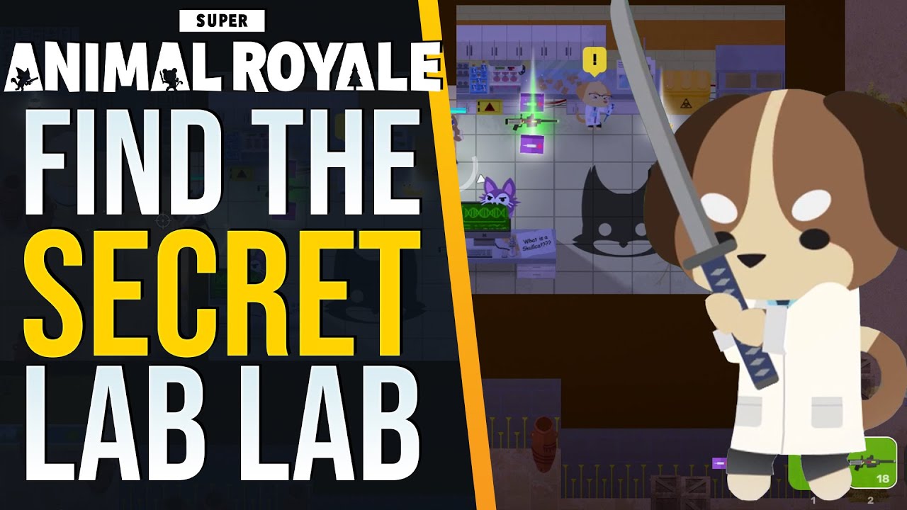 How to find Dr. Dogna’s Secret Lab Lab in Super Animal Royale! - YouTube