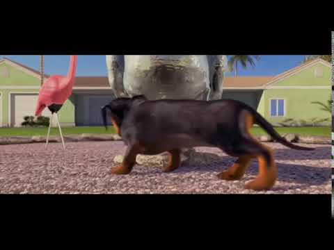 Space Chimps Wilhelm Scream