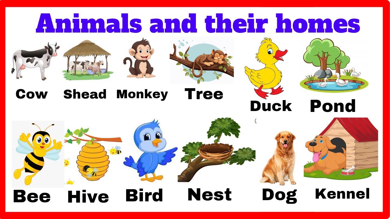 Animals and their Homes | Animals home | Home of animals in English ...