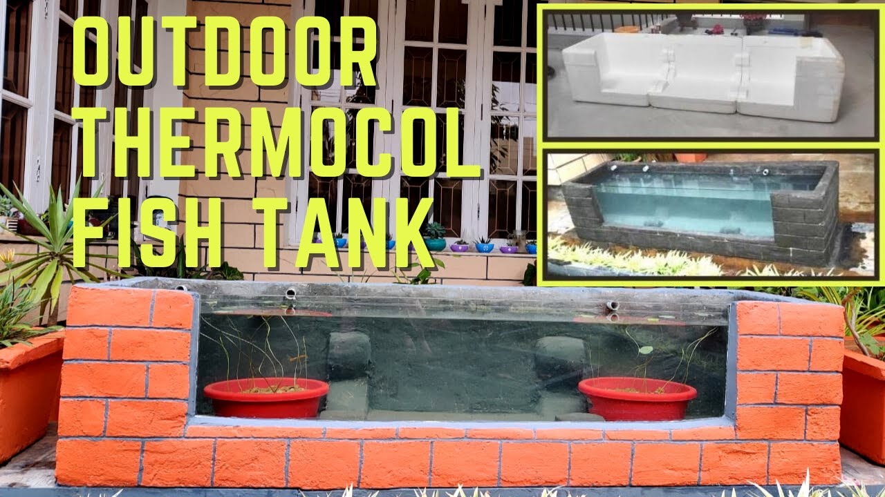 Outdoor Thermocol Fish Tank | Part 1 - Construction | DIY Project ...