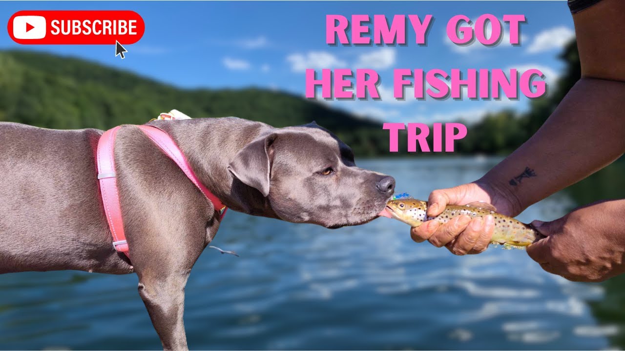 5 Spots 2 Fish but Remy got her fishing trip - YouTube