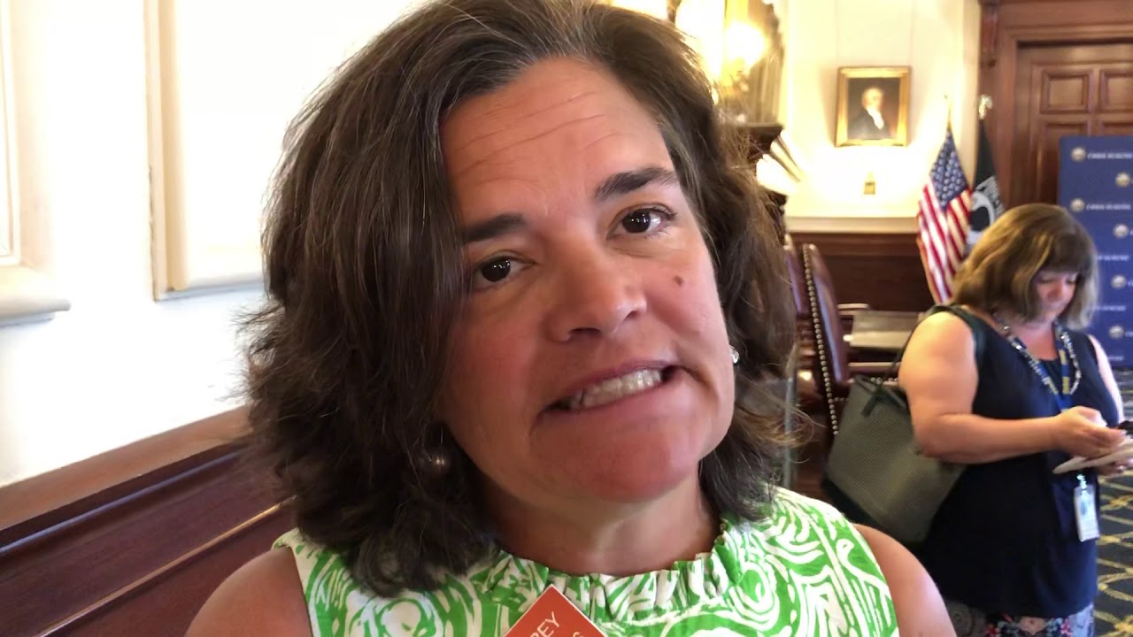 Kate Frey on SB 290 - YouTube