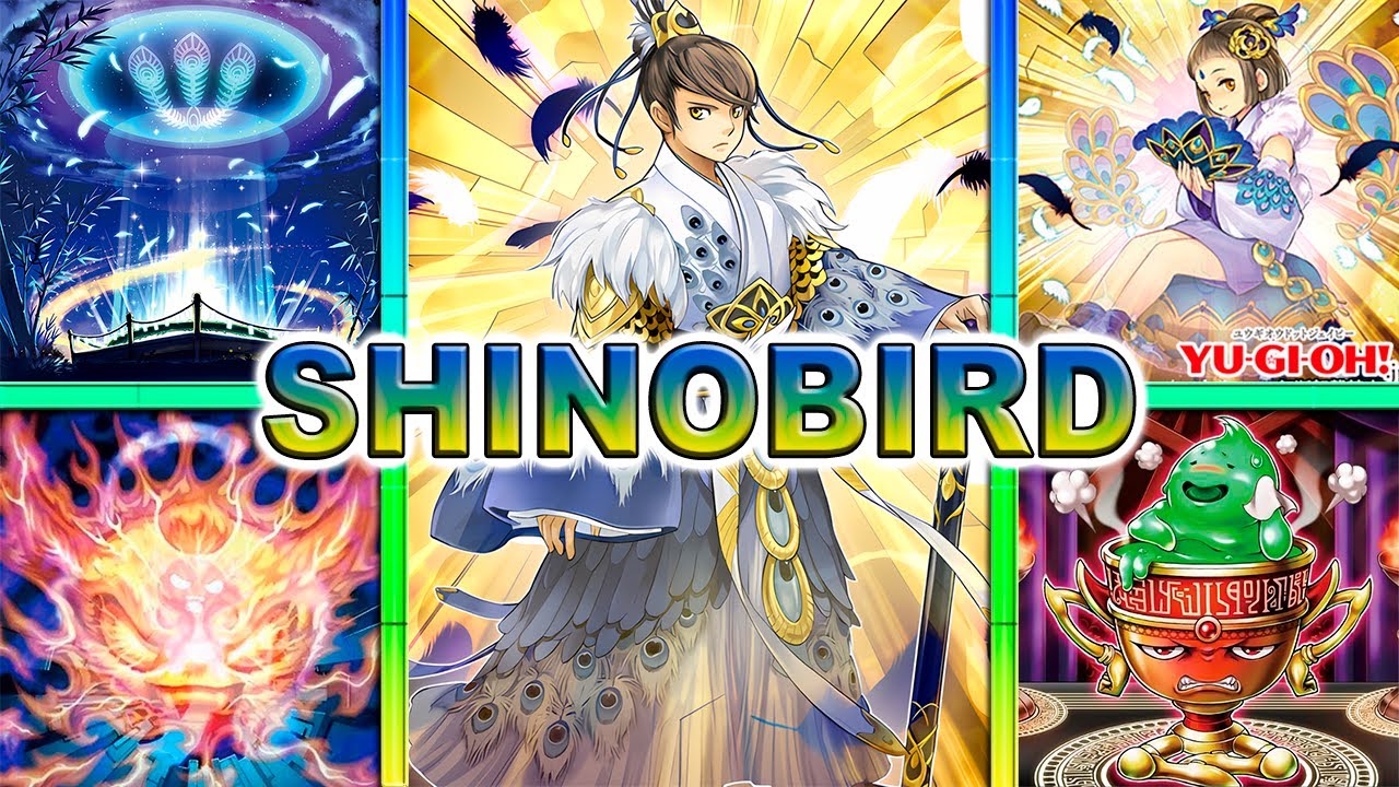 Yu-Gi-Oh! Shinobird | Pós Age of Overlord (Julho 2023) - YouTube