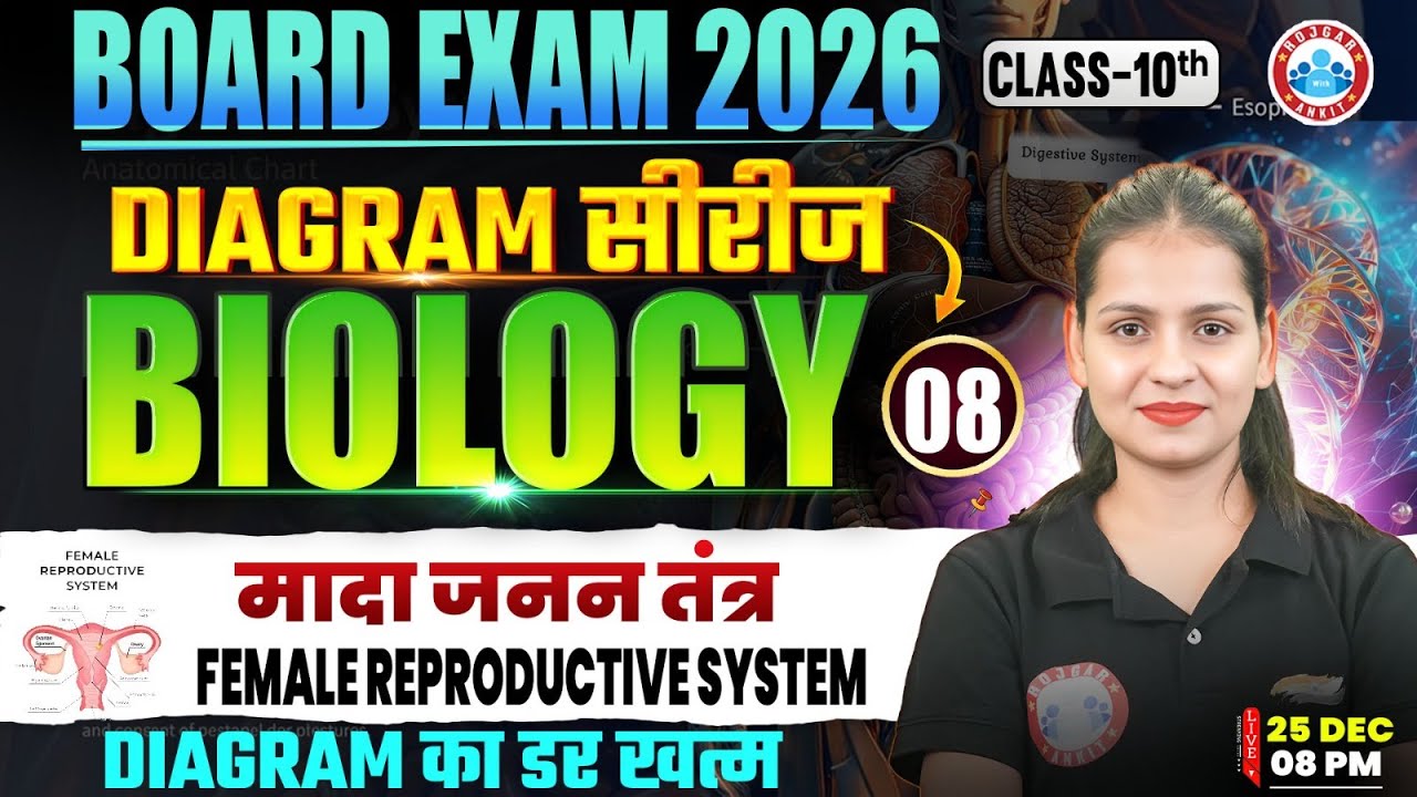 Class 10 Biology Diagrams | Female Reproductive System | 10th Biology ...