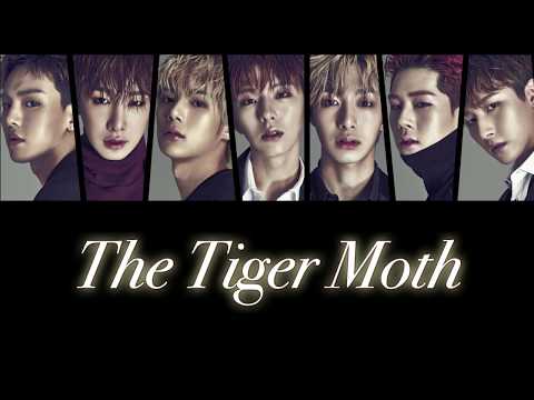 【日本語字幕/カナルビ/パート割/解説付】MONSTA X - 부나비 (The Tiger Moth) / ショッピング王ルイOST