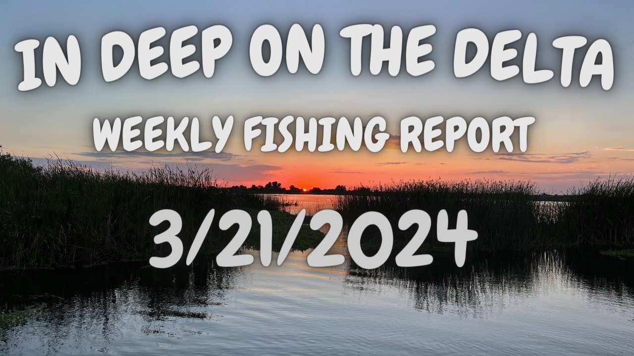 The In Deep On The Delta Weekly Report For 3/21/2024. - YouTube