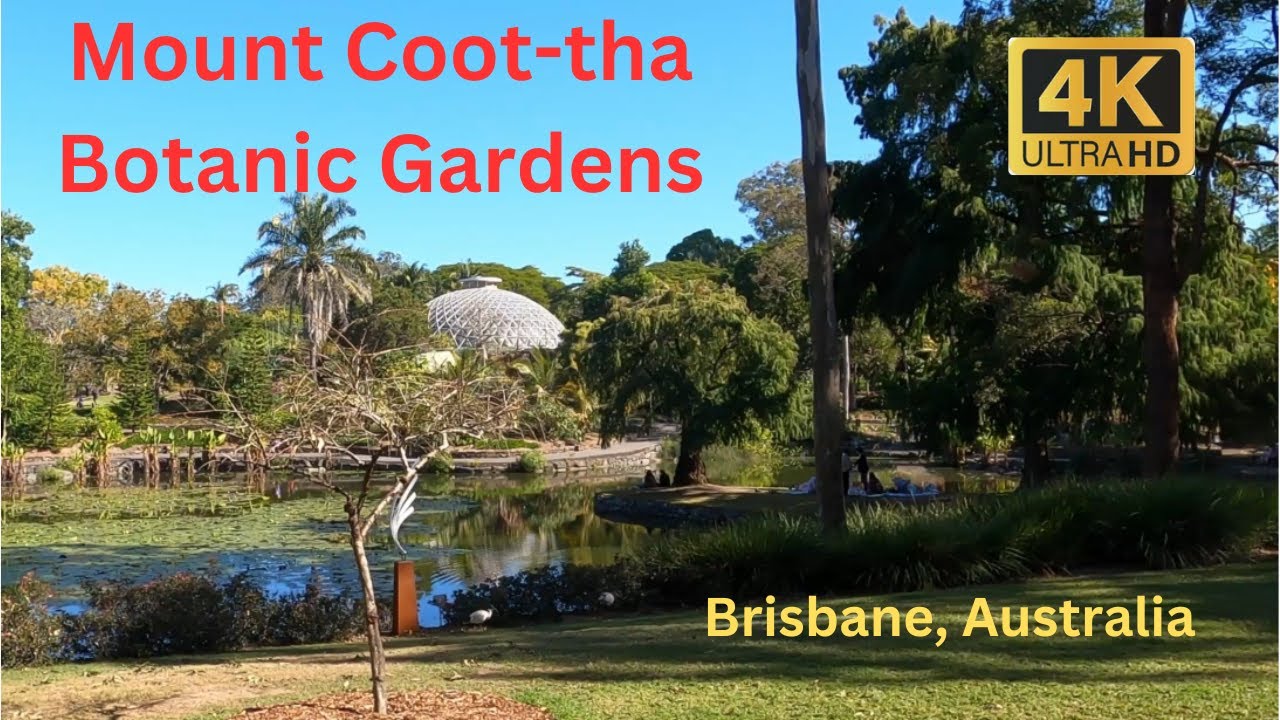 Brisbane, Australia: Walking in Mt Coot-tha Botanic Gardens (4K) - YouTube