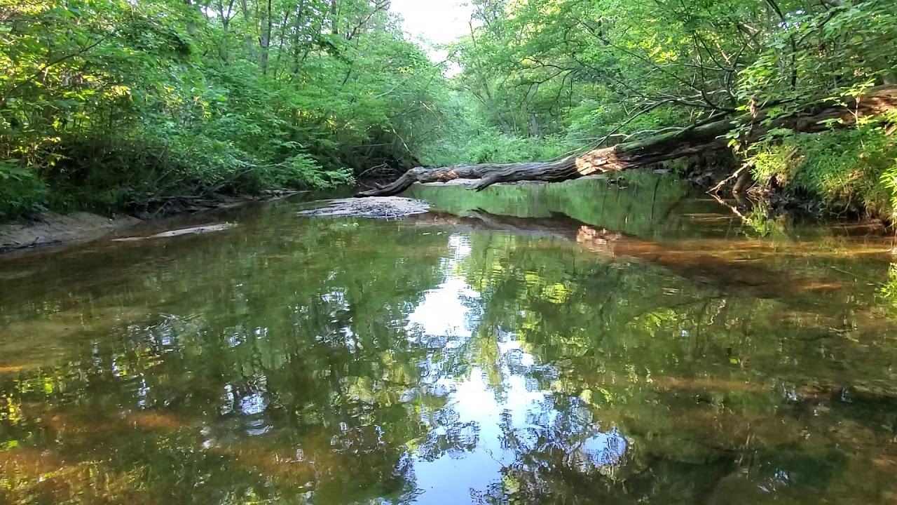 Reflections on Pickle Creek - YouTube